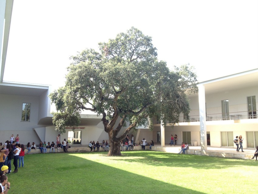 Politécnico de Setúbal: Candidaturas abertas para Mestrados e Pós ...